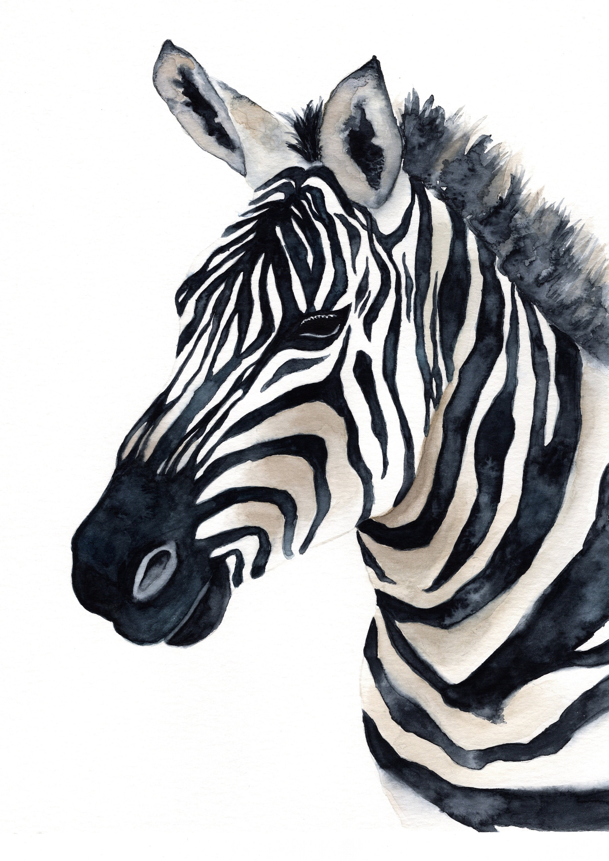 Zebra ORIGINAL Painting Zebra Watercolor Art Animal Art Wildlife Home ...