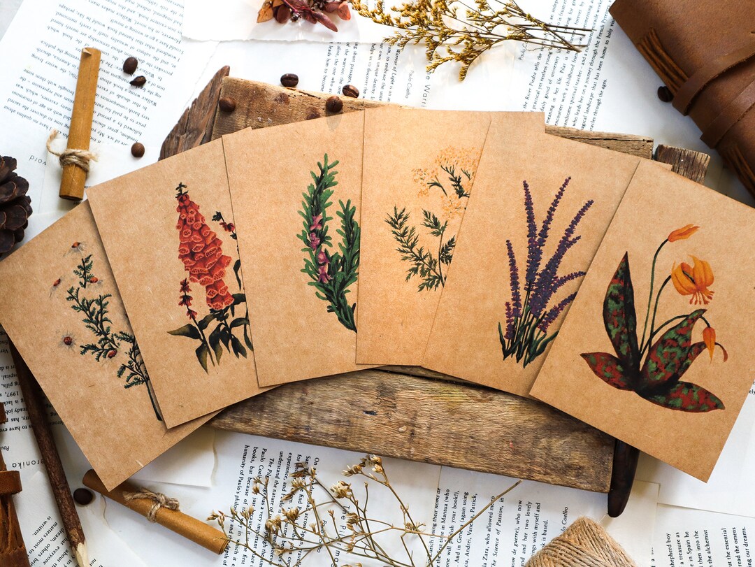 Cottage Wildflowers Postcards Set of 6 for Nature Lover Gift Rustic ...