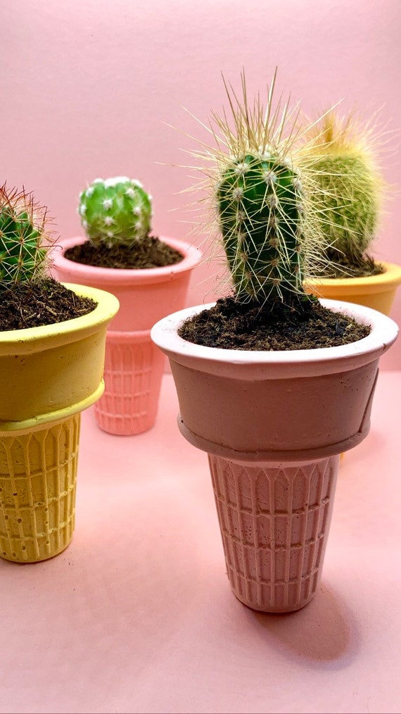 Ice Cream Plant Pots - Etsy
