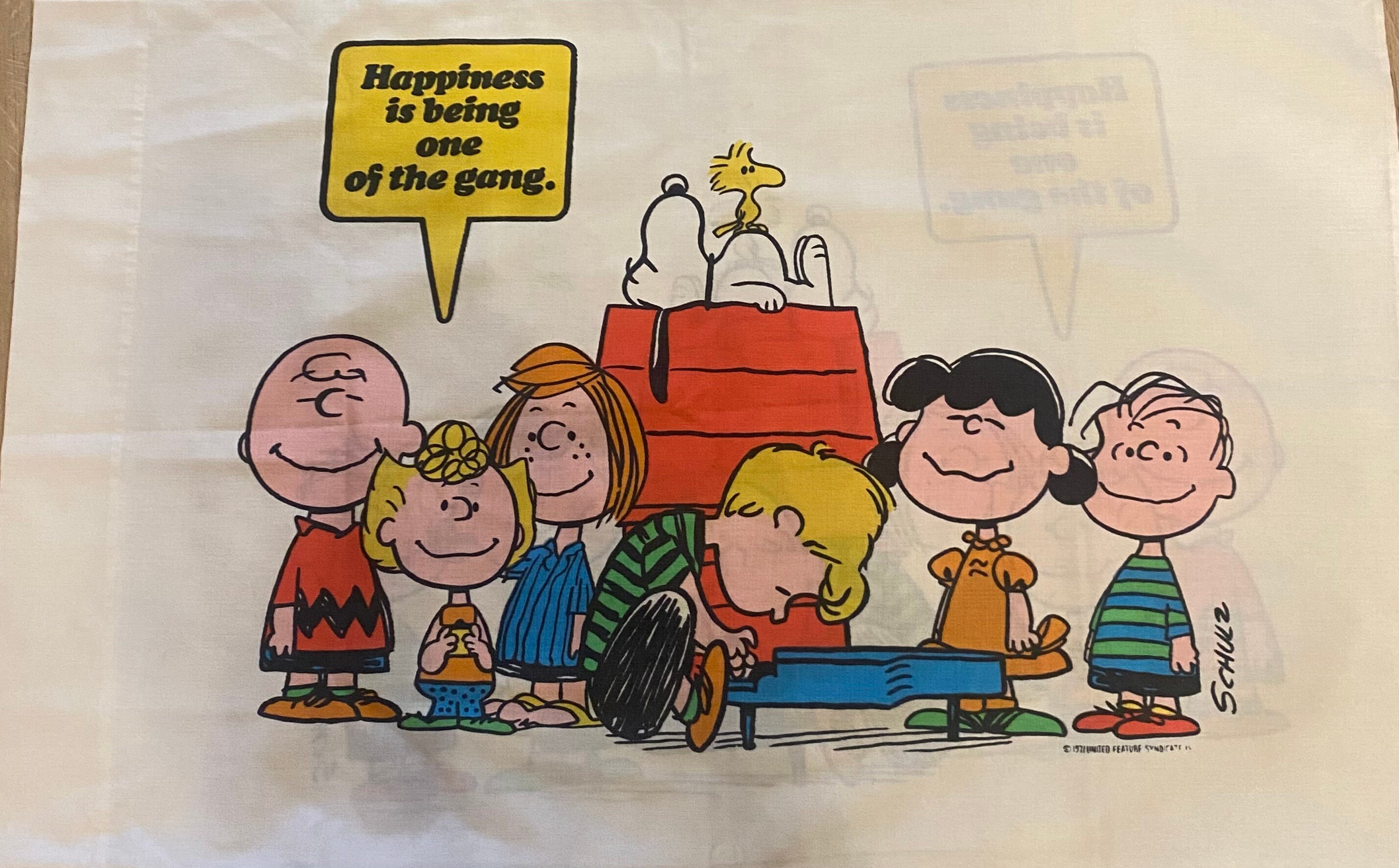 Vintage 1970s Peanuts Gang Charlie Brown Charles Schultz Twin Flat ...