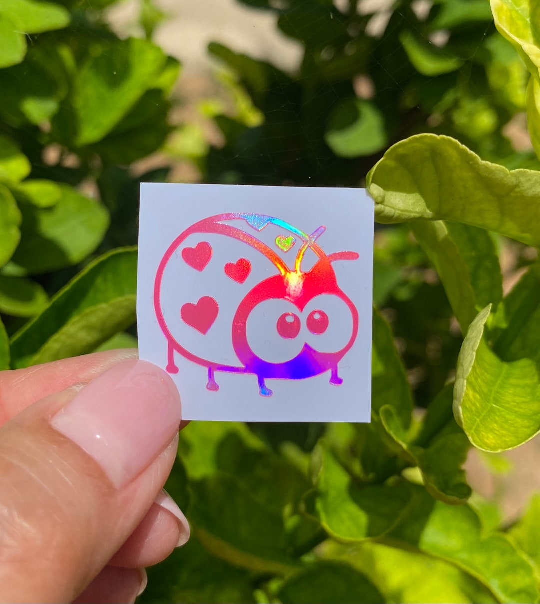 Small Cute Lady Bug Holographic Decal, Tiny Lady Bug Sticker, Tiny Rear ...