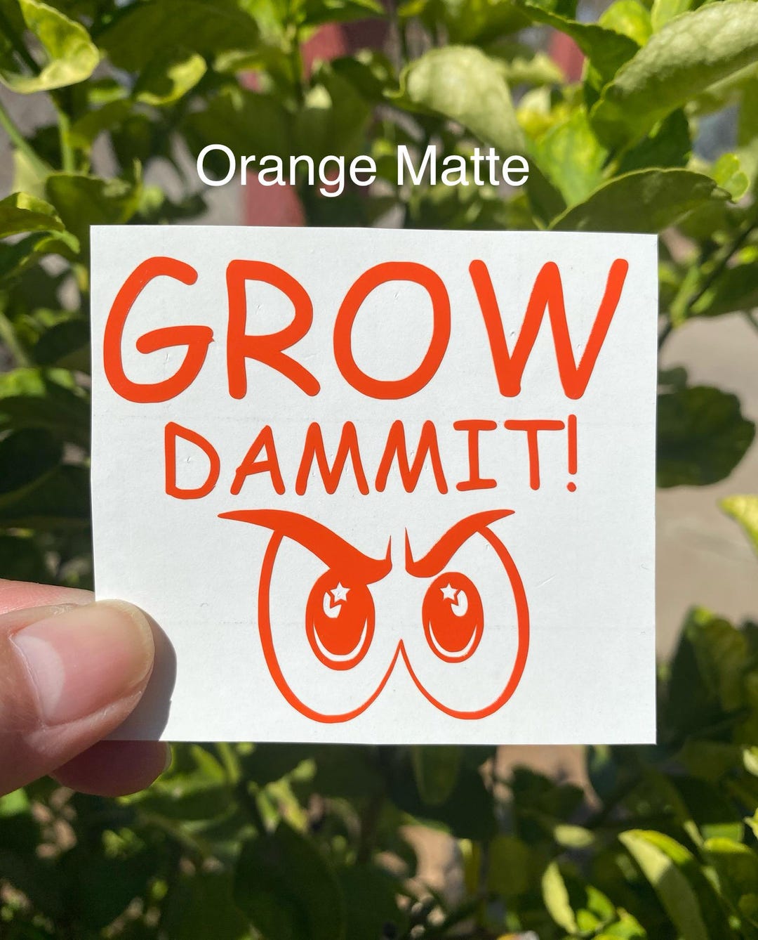 Grow Dammit Funny Cartoon Eyes for Plant Pot Decal , Plant Lover Decal ...