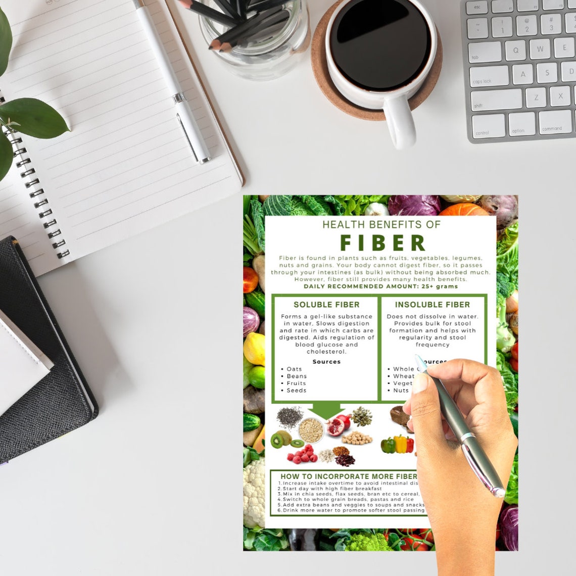 Fiber Factsheet | Gut Health | Fiber Facts | Soluble | Insoluble ...