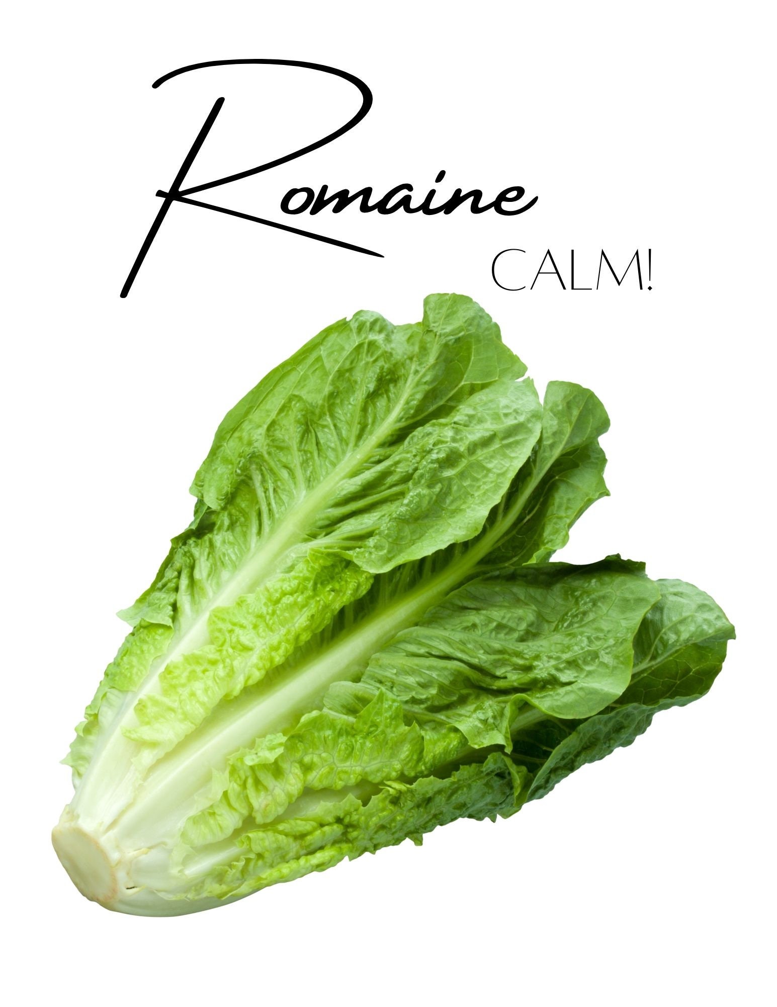 Lettuce Food Pun Printable Artwork Food Pun Digital Print, Kitchen ...