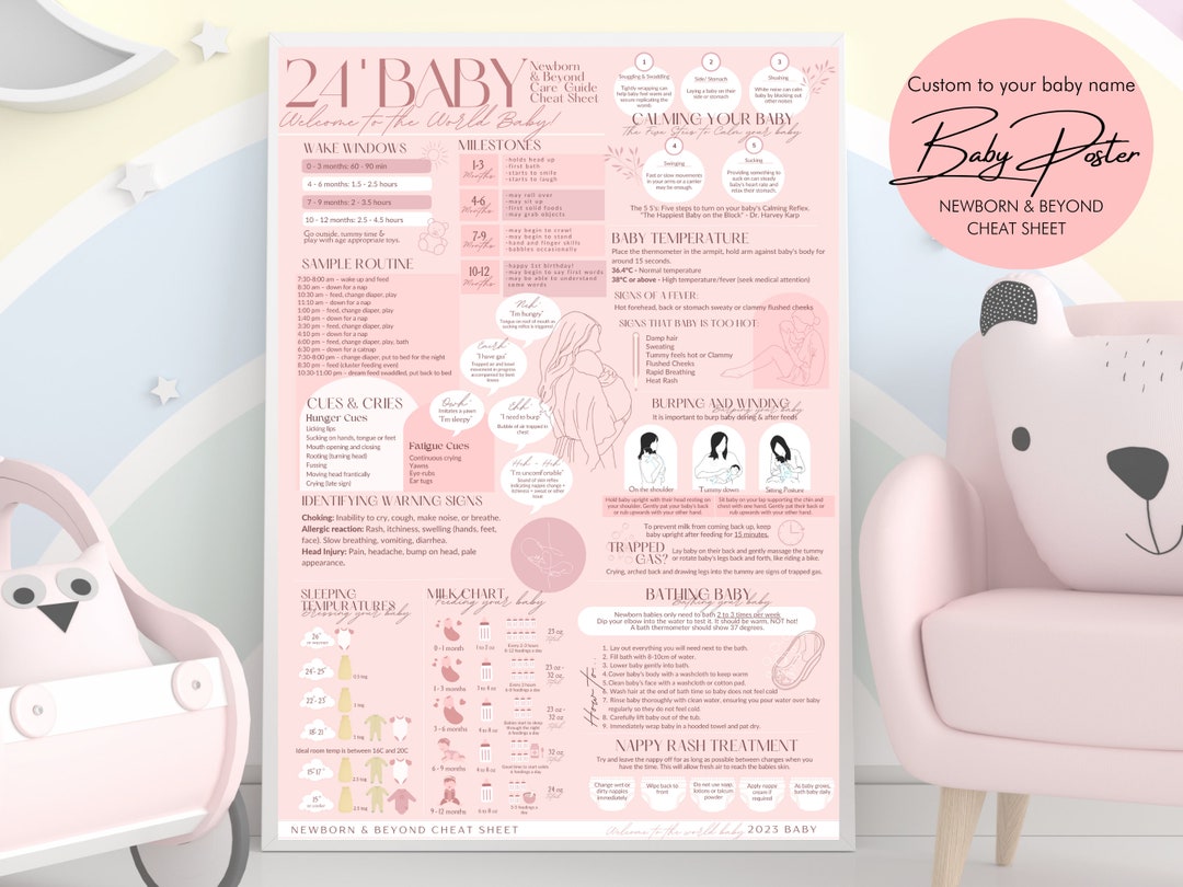 Custom Baby & Beyond Cheat Sheet Baby Schedule Newborn 1st Year ...