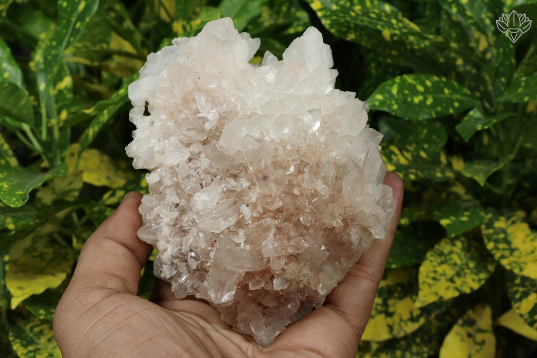 Himalayan Quartz Pink Himalayan Samadhi Quartz Cluster Specimen Large 422gm Pink Quartz Crystal ...