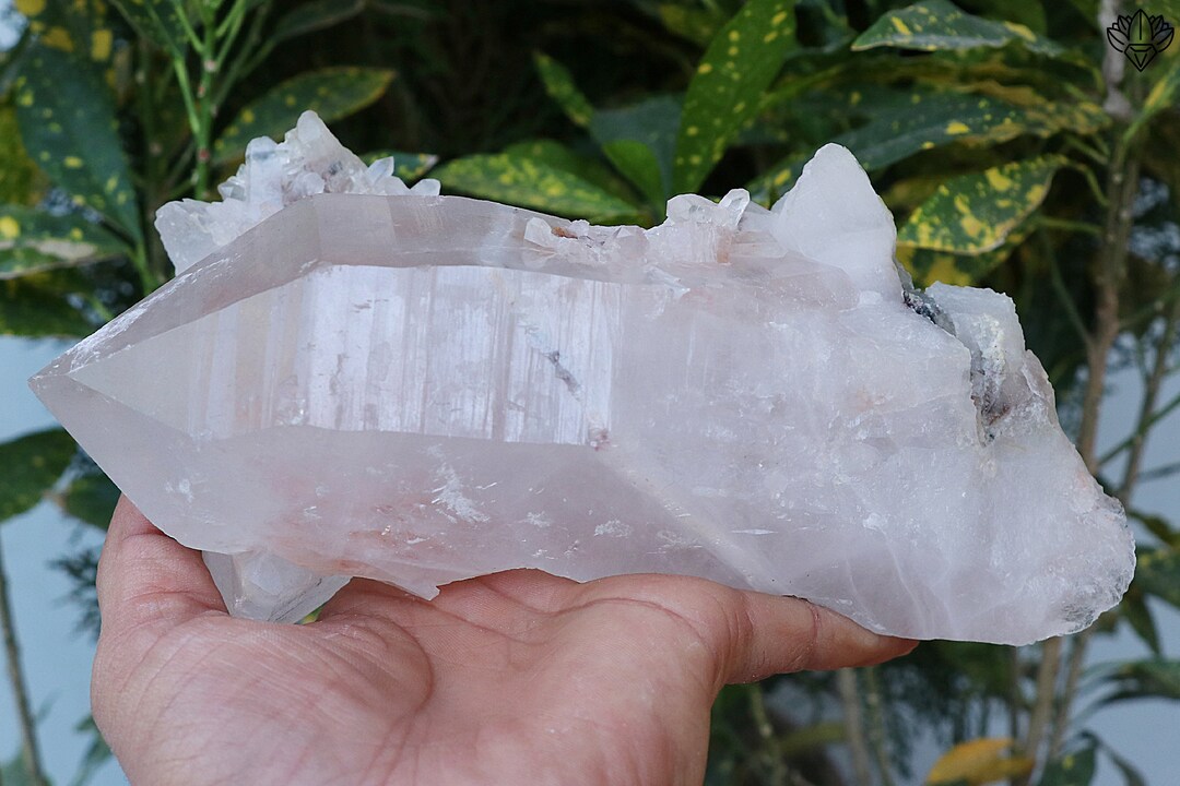 Natural White Quartz Multi Point Cluster Crystal From India 1.642kg ...