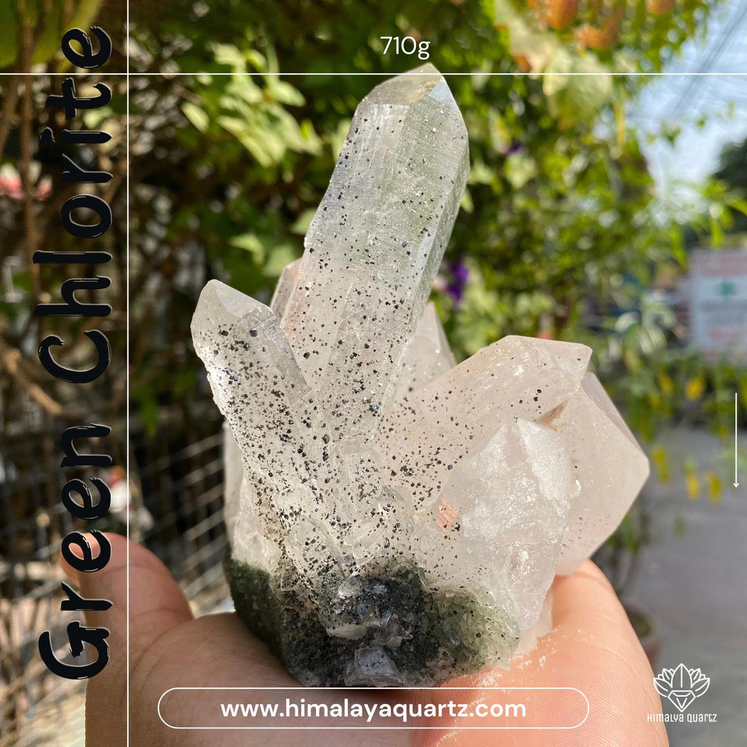 Raw Chlorite Quartz Crystal Point With Anatase Inclusions 710g Natural ...