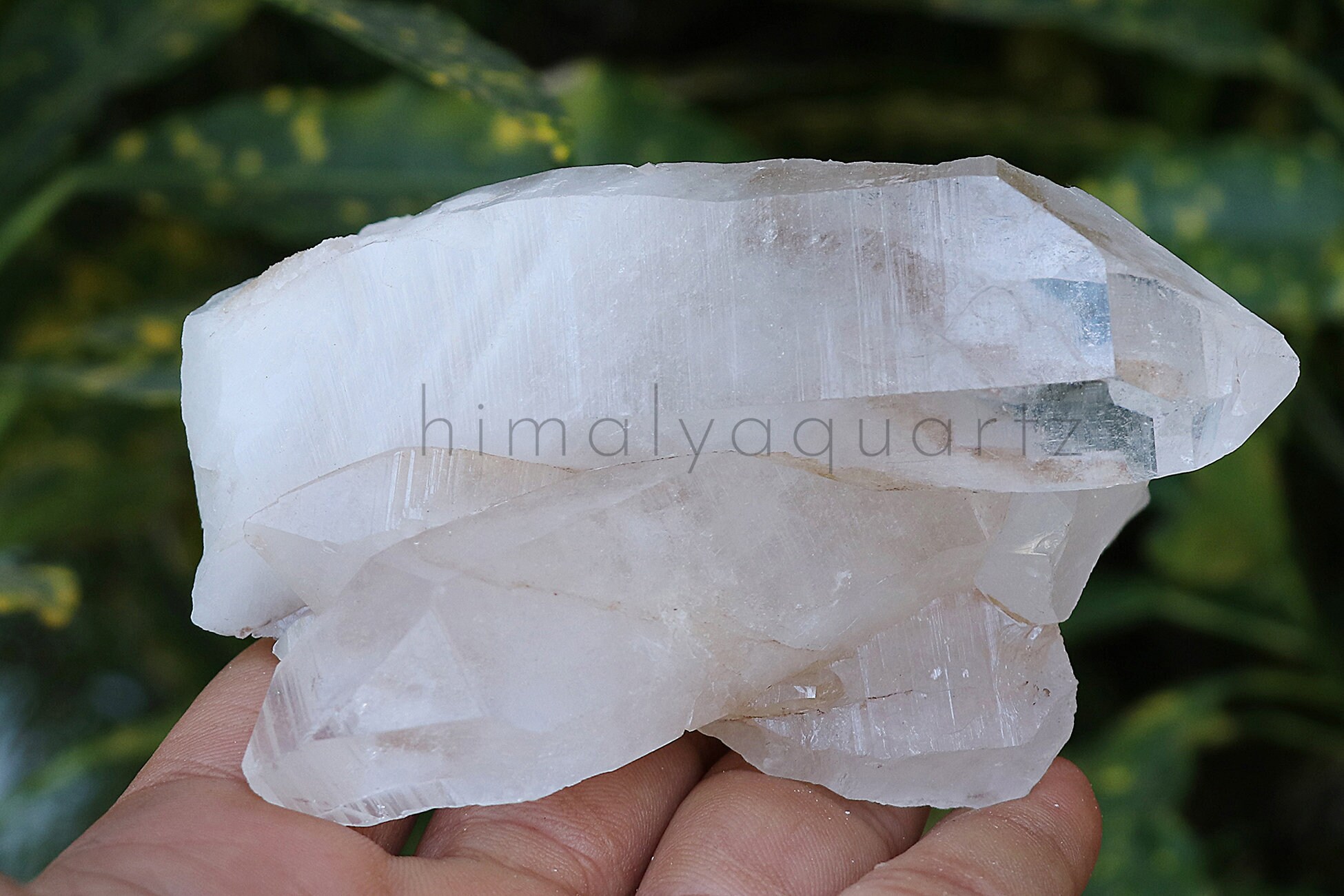 Natural Multi Point Himalayan Clear Quartz for Healing 335gm Clear ...