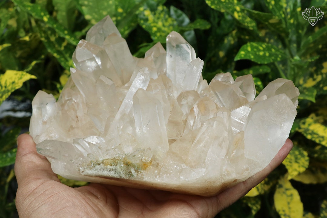 Genuine Yellow Quartz Yellow Clear Quartz 1.520kg Yellow - Etsy 日本