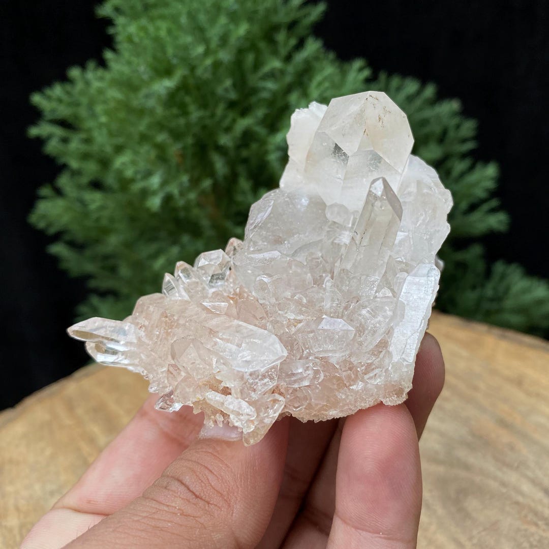Natural Himalayan White Samadhi Quartz Crystal Cluster Mineral Healing ...