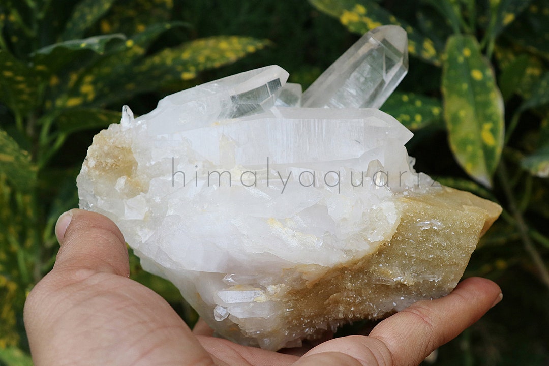 Yellow Samadhi Quartz 825gm Himalayan Manikaran Quartz Crystal, Healing ...