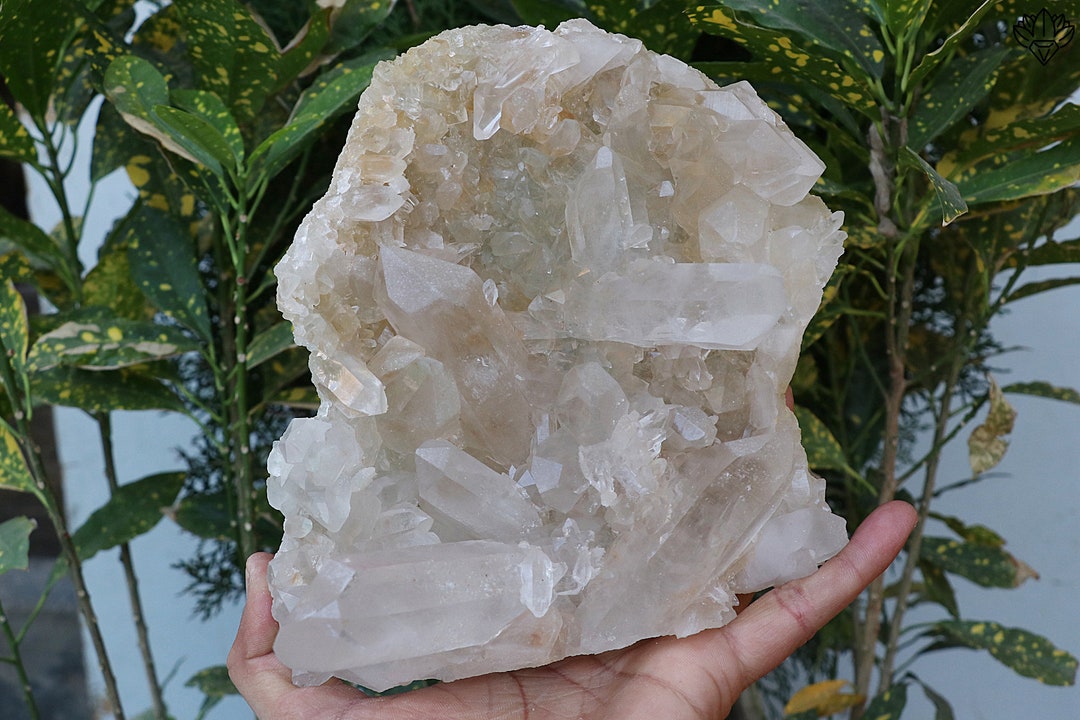 Himalayan Quartz Cluster White Quartz Pointed White Himalayan Quartz ...