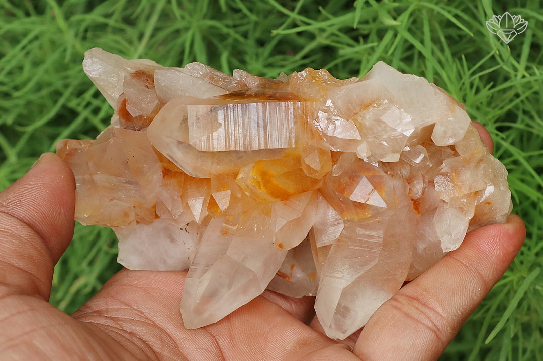 320gm Himalayan Yellow Samadhi Quartz, Natural Self Standing Crystal ...
