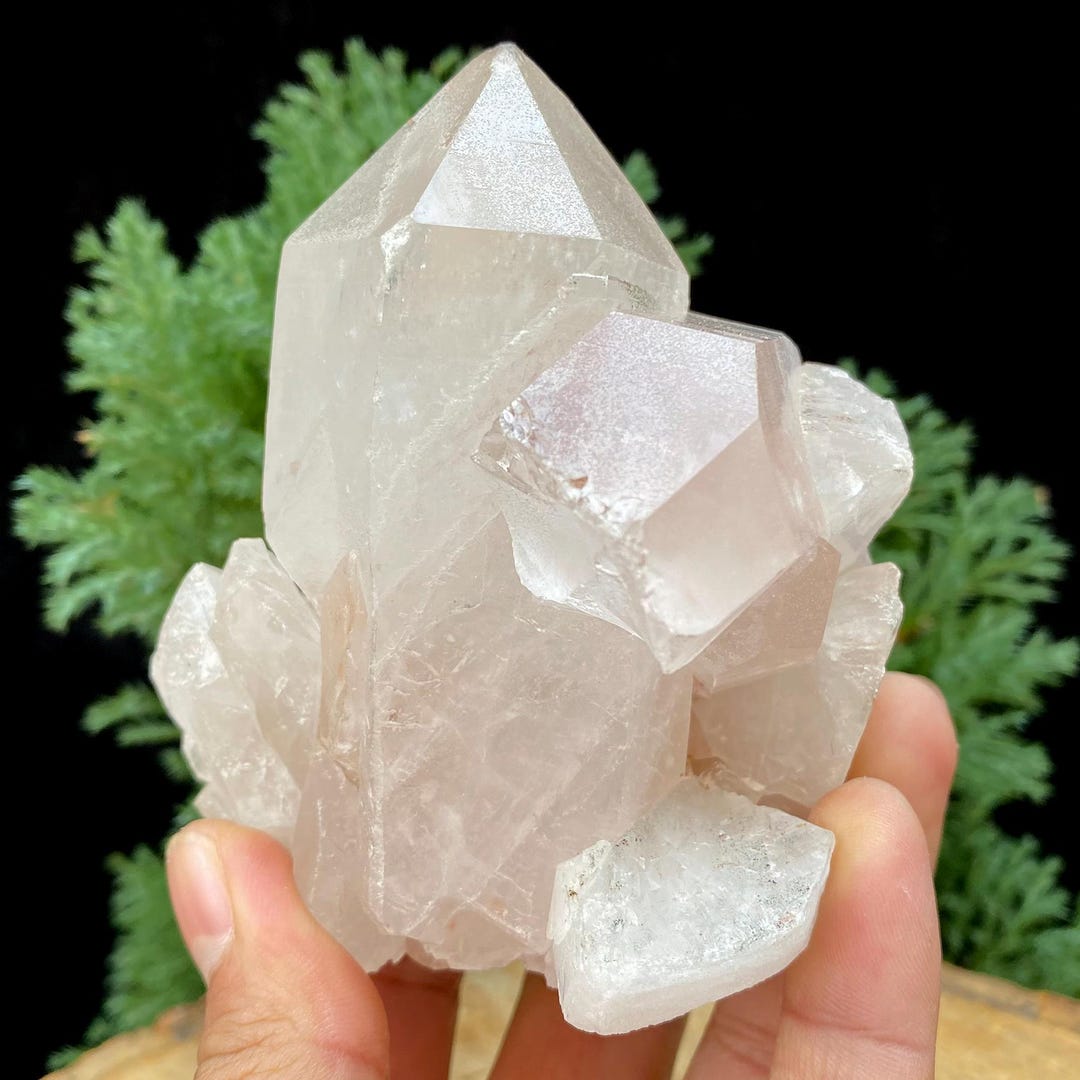 Natural Poinited Pink Quartz Cluster, Self-standing Crystal Points ...