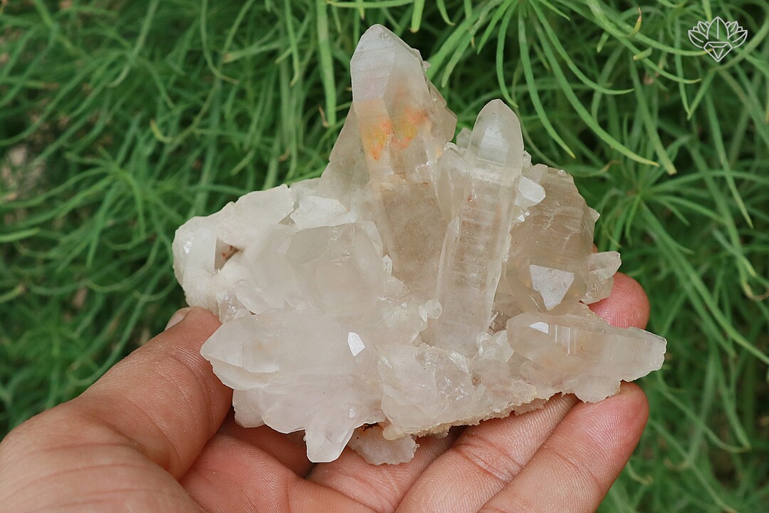 Wondrous Multi Point White Samadhi Quartz Crystal Rough 245gm - Etsy 日本