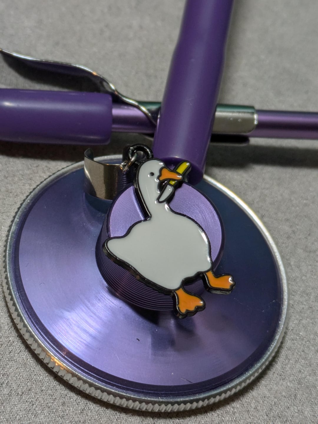 Goose Stethoscope Charm, Charm, Stethoscope, Nurse, Veterinary ...