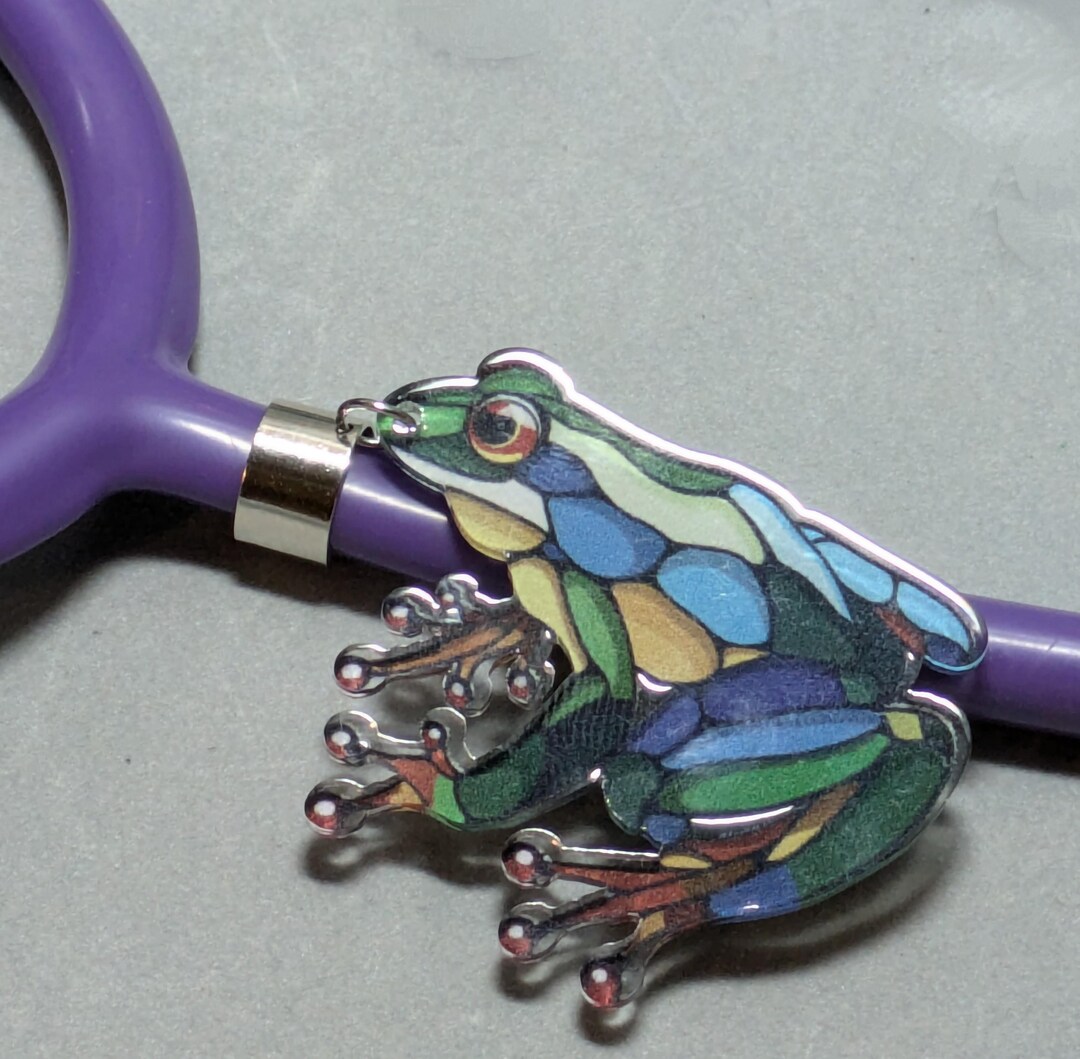 Frog Stethoscope Charm, Charm, Stethoscope, Nurse, Veterinary, Medicine ...