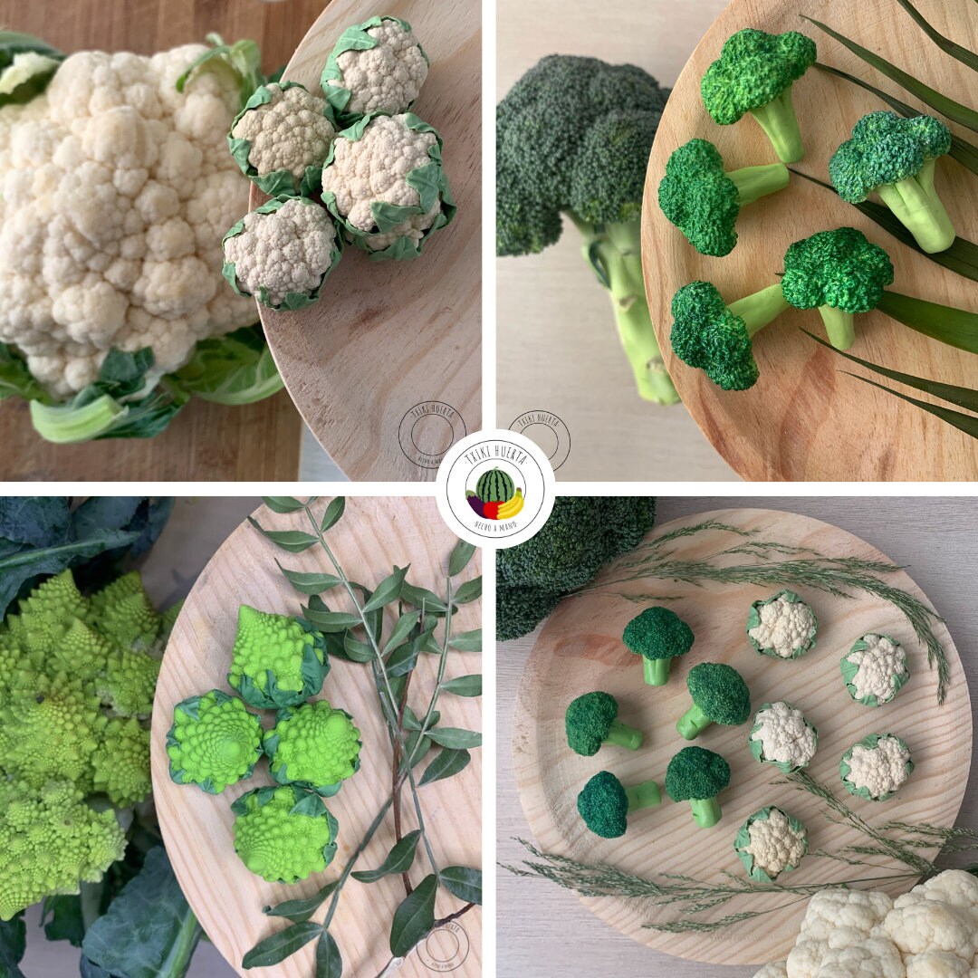 Cauliflower Broccoli Romanesco Miniature. Educational Toys. Montessori ...