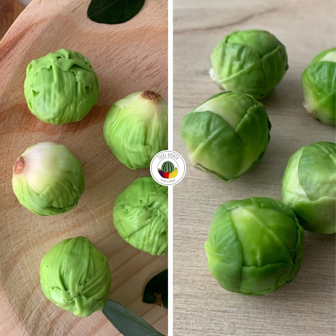 Lettuce Brussels Sprouts Miniature. Educational Toys. Montessori and ...