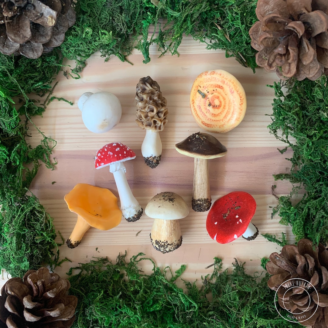 Set of 8 Realistic Miniature Mushrooms Decoration. Fairy Garden ...