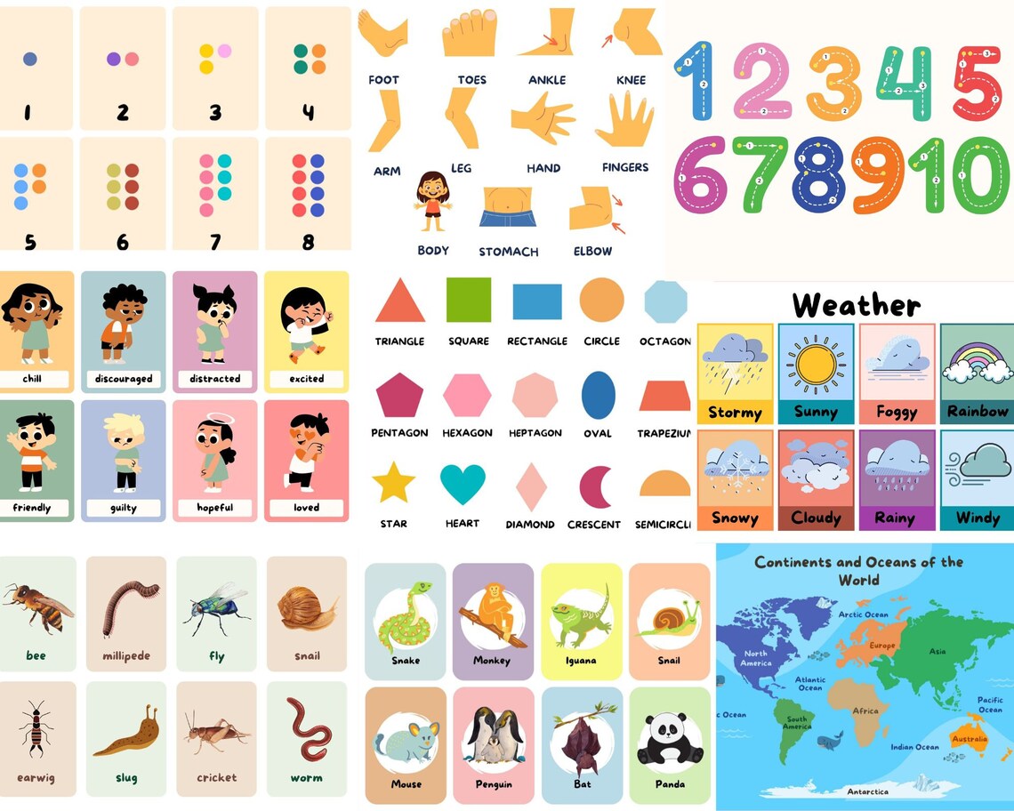 Children's Learning Posters, Flash Cards, Montessori Educational ...
