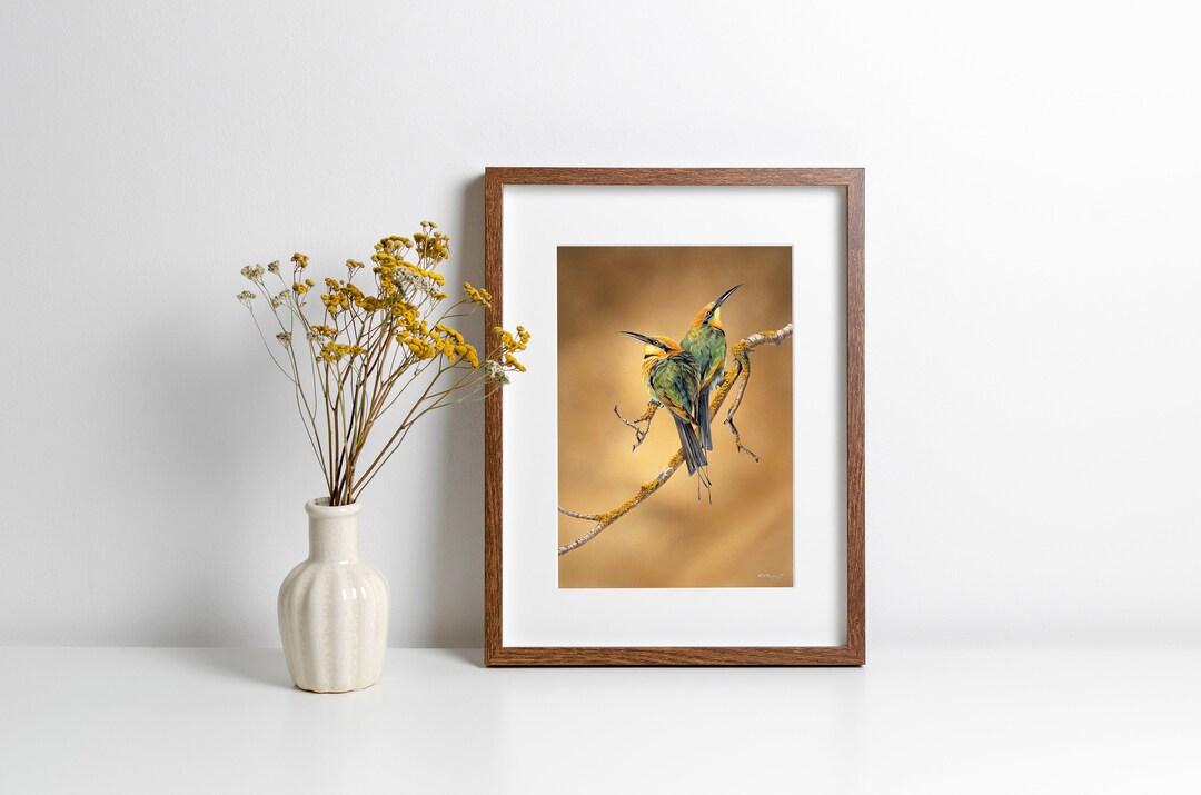 Rainbow Bee-eaters - LIMITED EDITION Australian Wildlife Fine Art Print ...