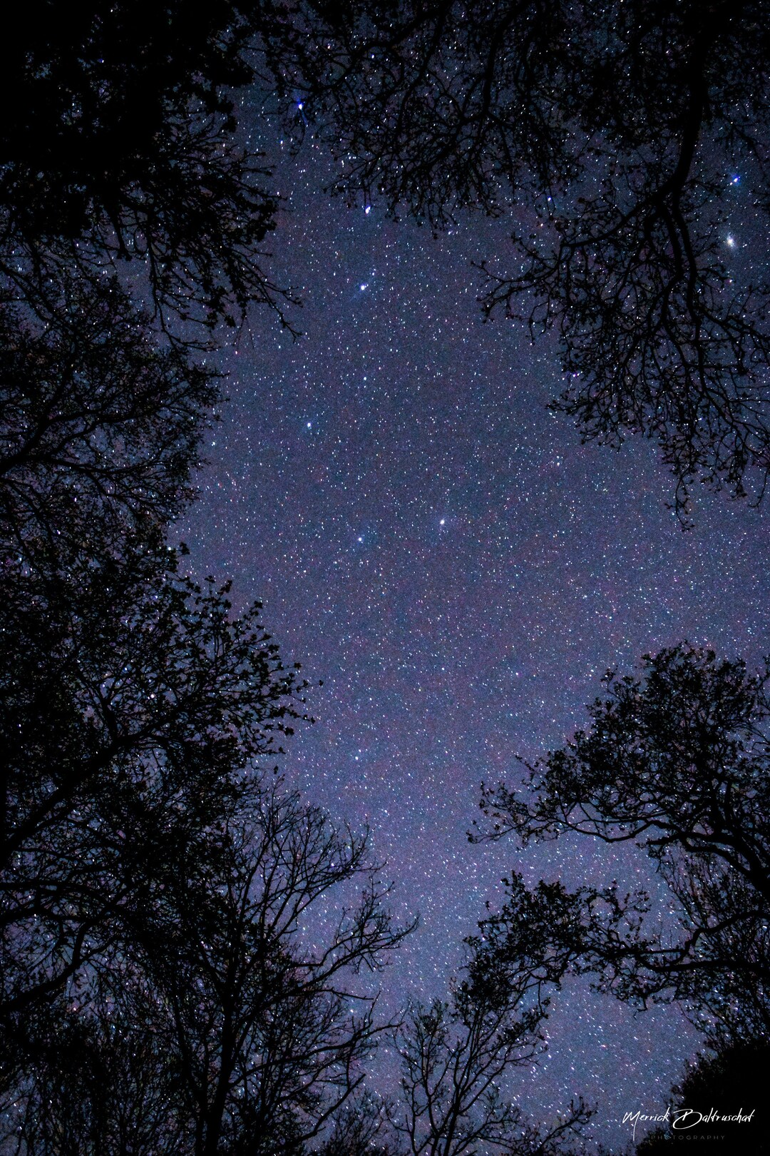 Talybont Farm Stars - Etsy