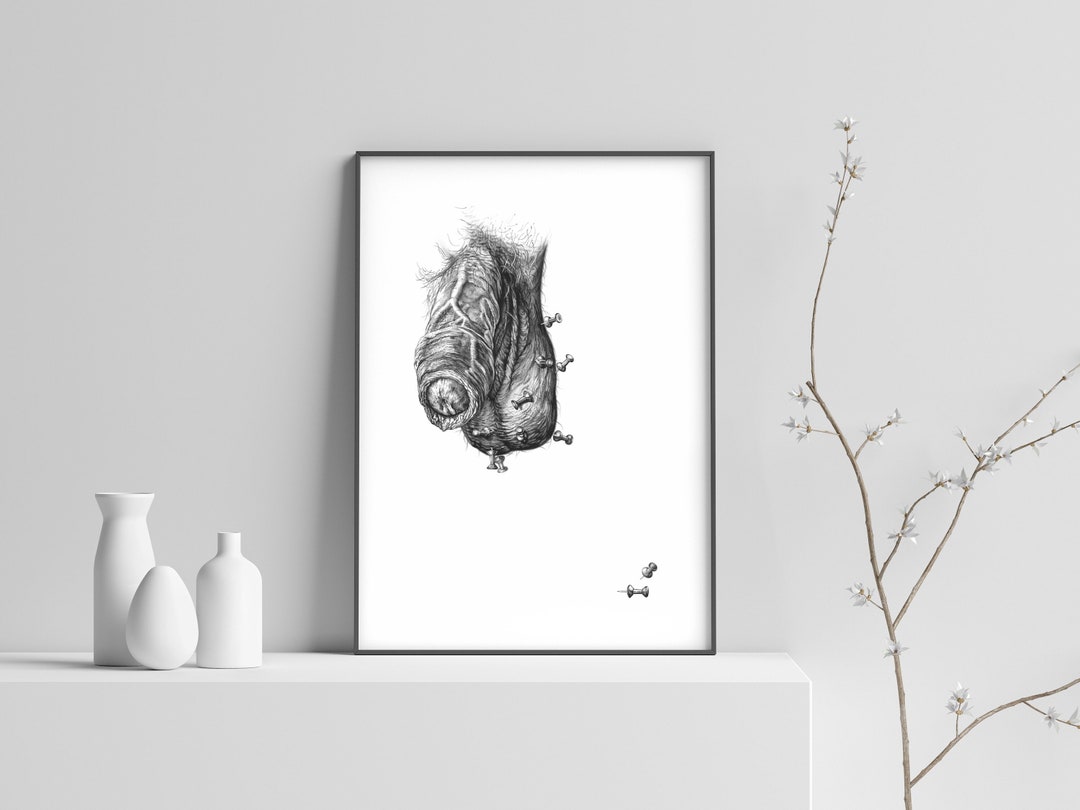 A3 / Erotic / Poster / Art / Print / Illustration / Giclée / Art ...