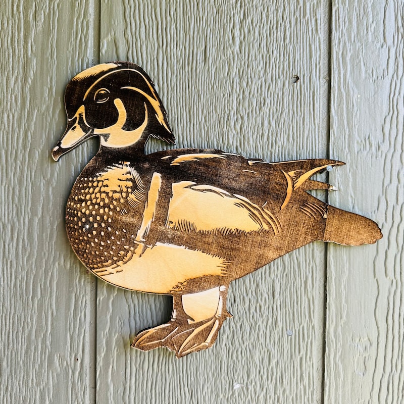 Duck Wall Decor - Etsy