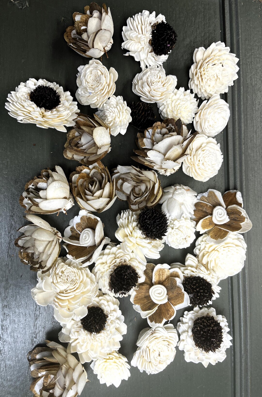 Sampler Set of Natural Mini Sola Wood Flowers - Set of 31 - Fall ...