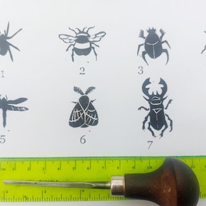 Insect Ink Stamps, Spider, Scarab Beetle, Ladybird, Dragonfly, Bumble ...