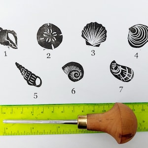 Seashell Ink Stamps, Shell Printing Block, DIY Eco Recyclable Wrapping ...