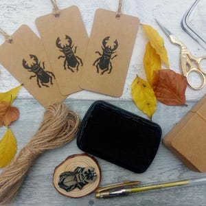 Insect Ink Stamps, Spider, Scarab Beetle, Ladybird, Dragonfly, Bumble ...