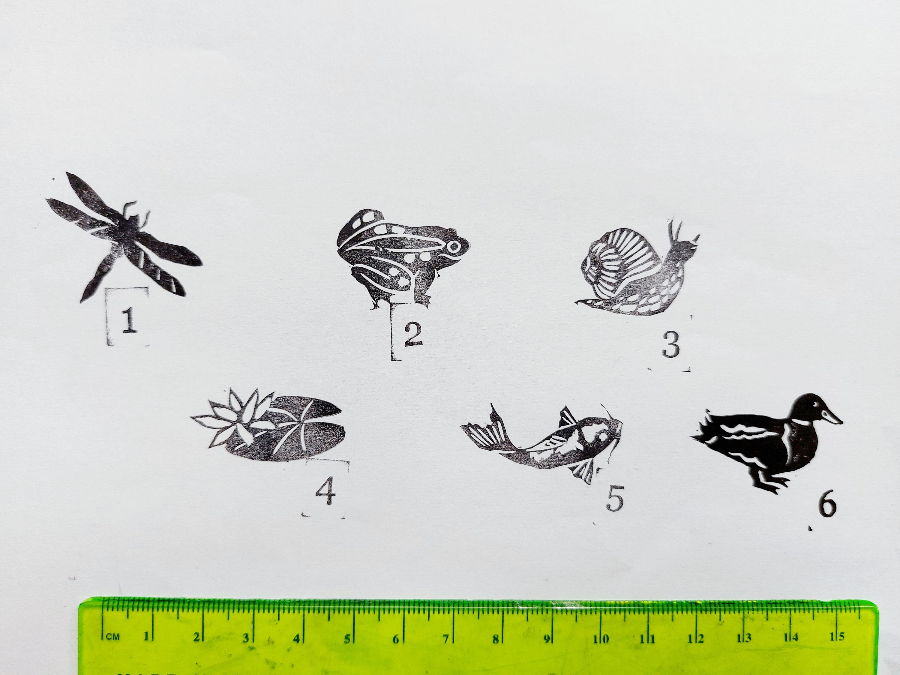 Pond Life Ink Stamps Dragonfly Frog Snail Lily Pad Koi - Etsy UK