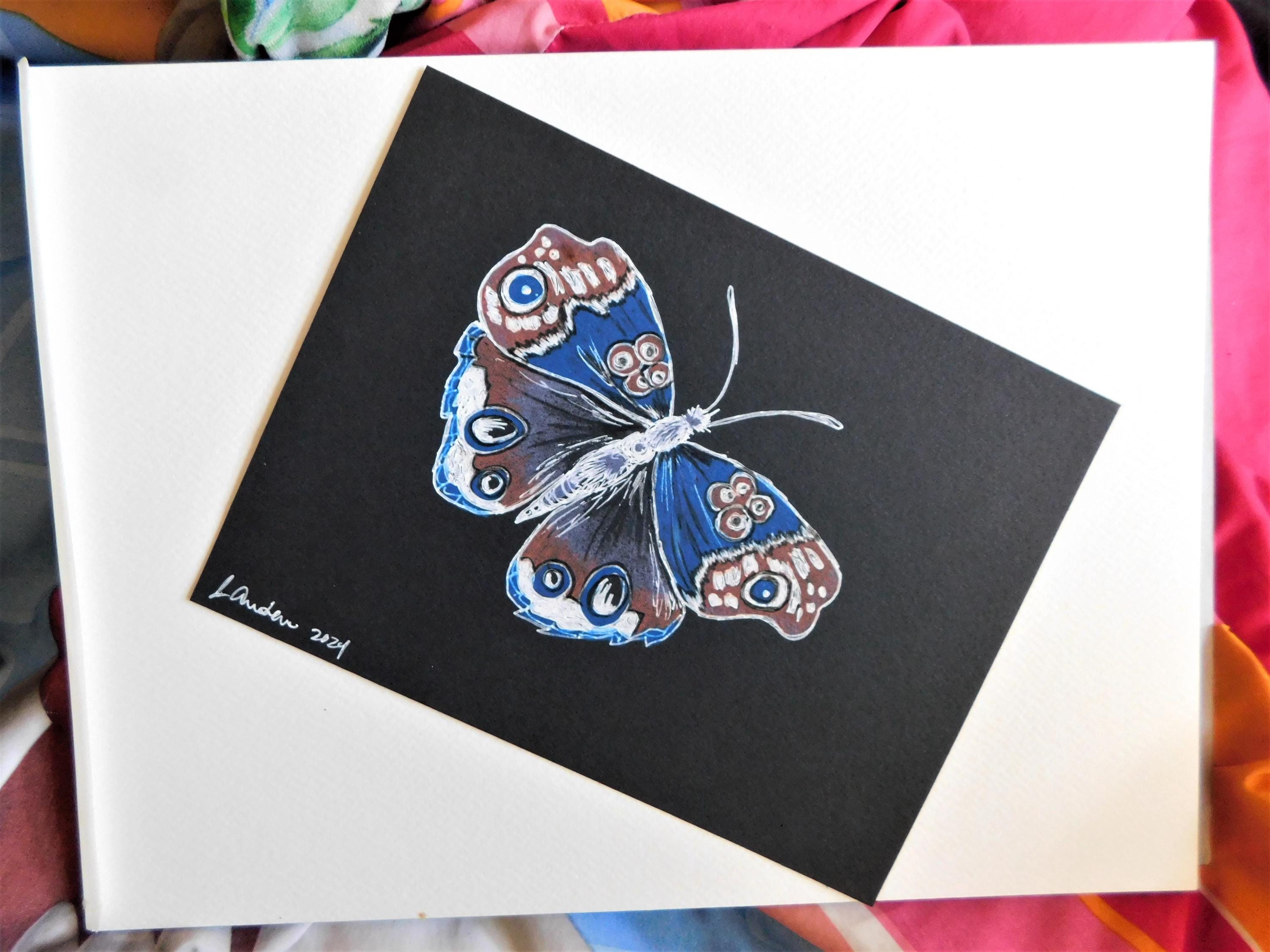 Blue Moth 9x6 White Ink and Colored Pencil on Paper, Original by Jamie ...