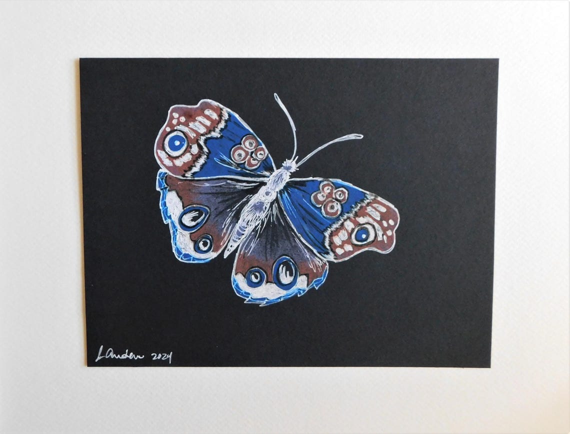 Blue Moth 9x6 White Ink and Colored Pencil on Paper, Original by Jamie ...