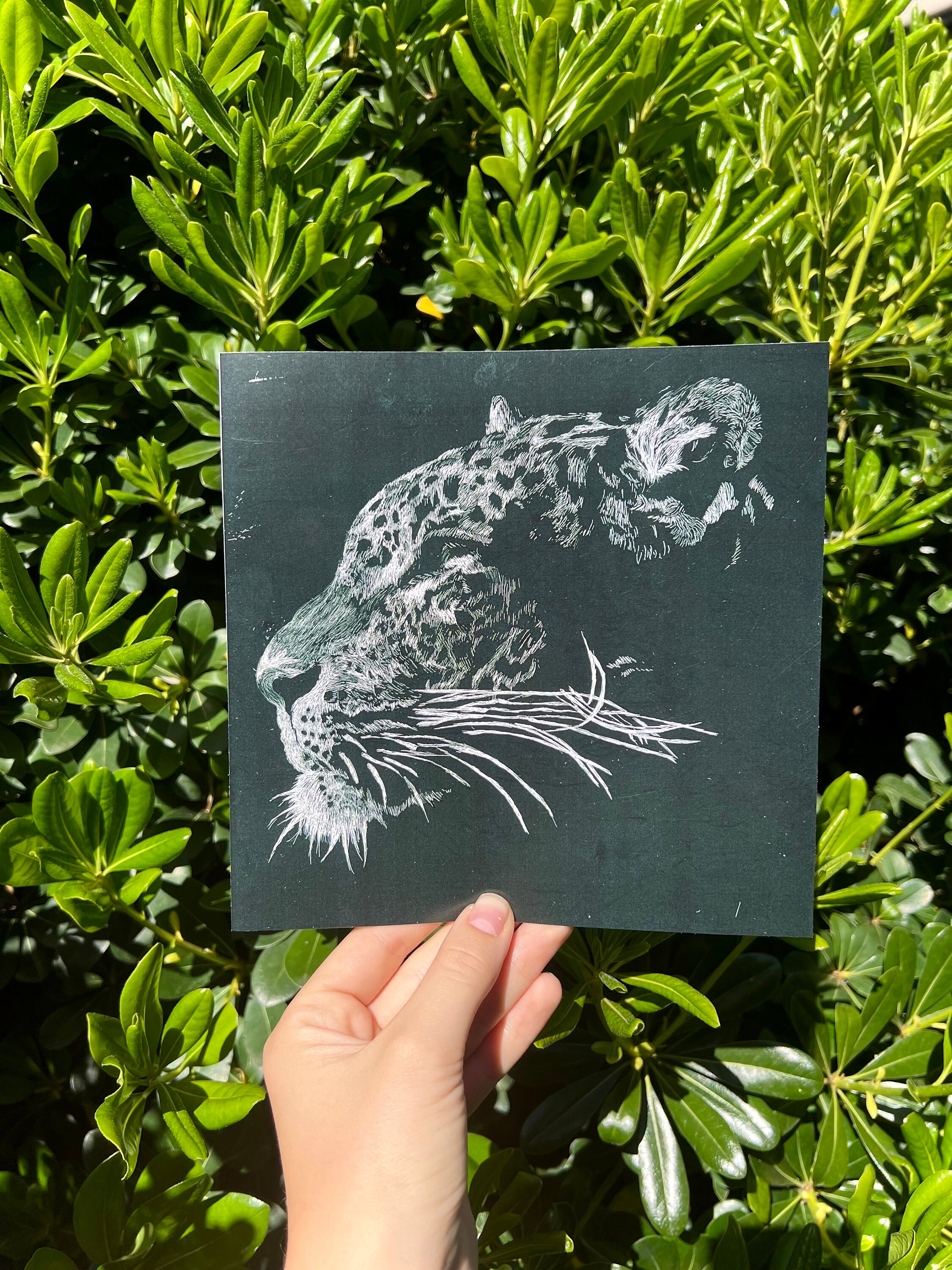 LEAPORD Scratch Board Art Print - Etsy