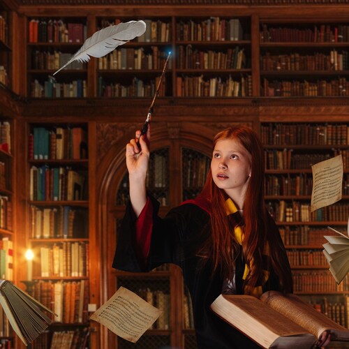 Wizard Library Digital Background Digital Backdrop for - Etsy