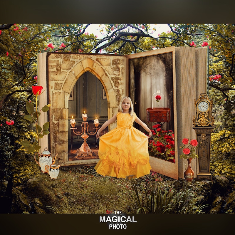 Princess Backdrop - Etsy