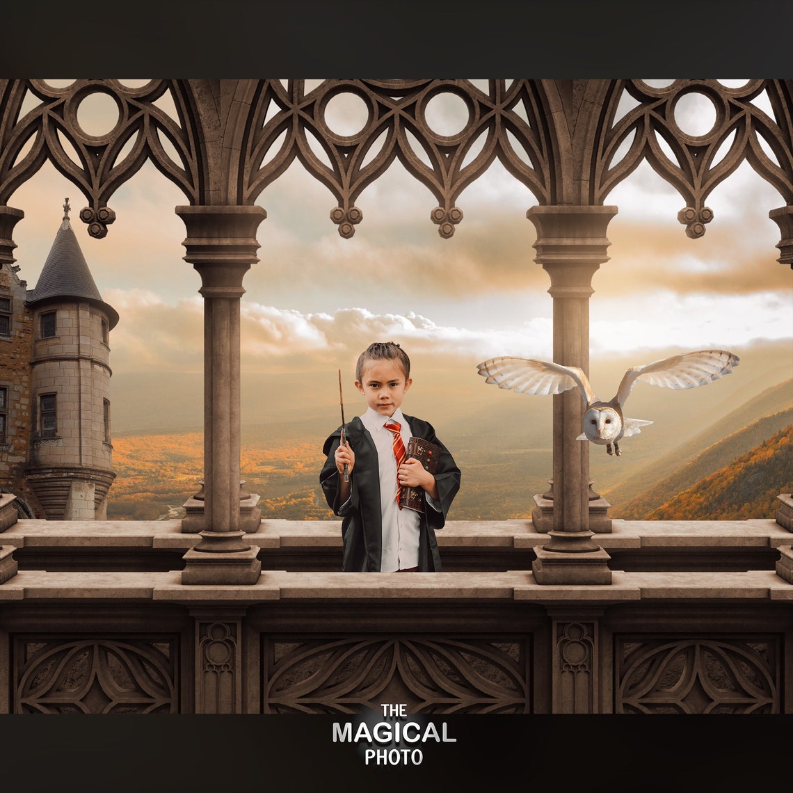 Wizard Digital Background, Digital Backdrop, for Composite Photoshop ...