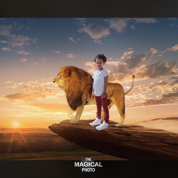 Lion Digital Background Digital Backdrop for Composite - Etsy