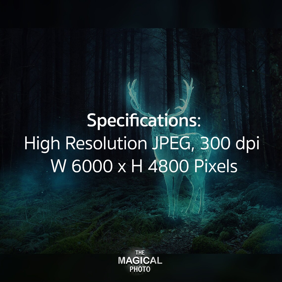 Wizard Digital Background Digital Backdrop for Composite - Etsy