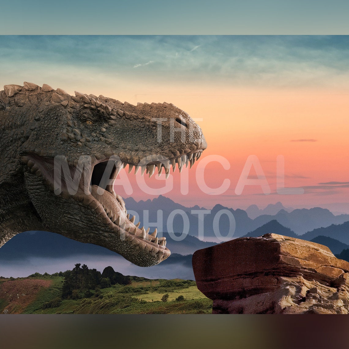 Dinosaur, T-rex Digital Background, Digital Backdrop, for Composite ...