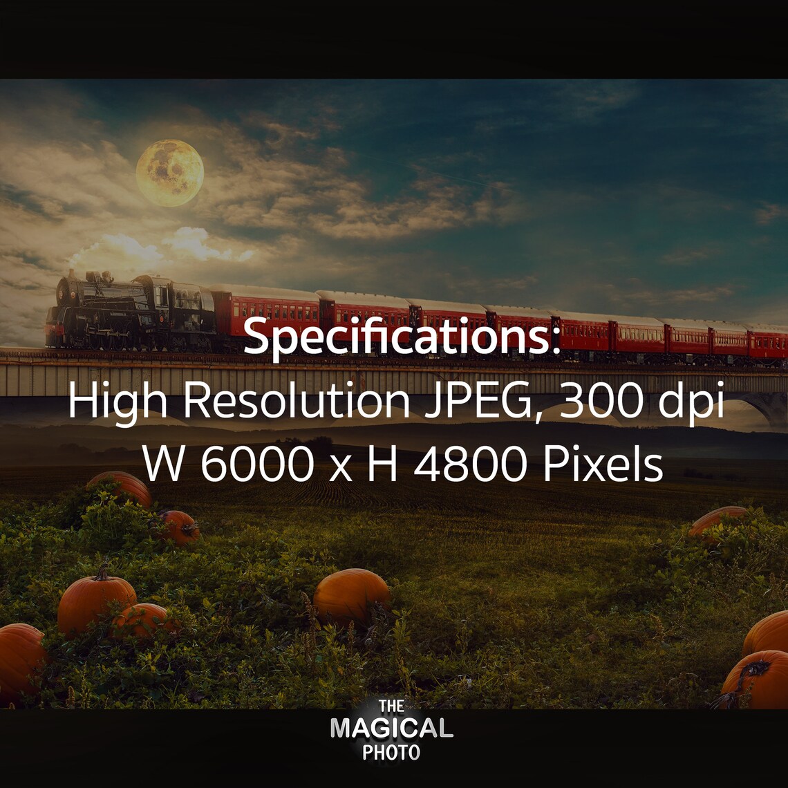 Wizard Digital Background Digital Backdrop for Composite | Etsy