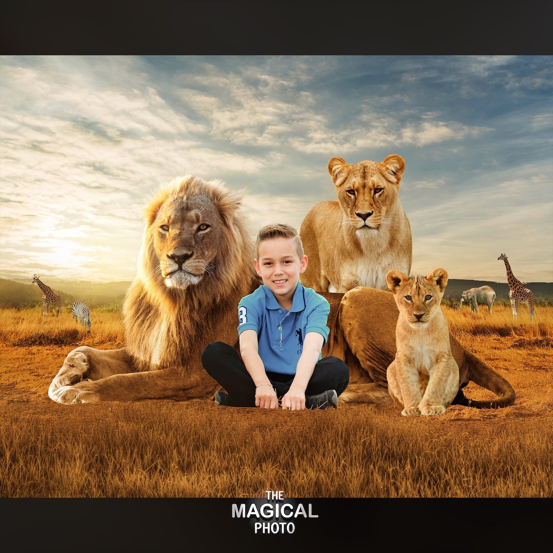 Lion Family Digital Background, Digital Backdrop, for Composite ...