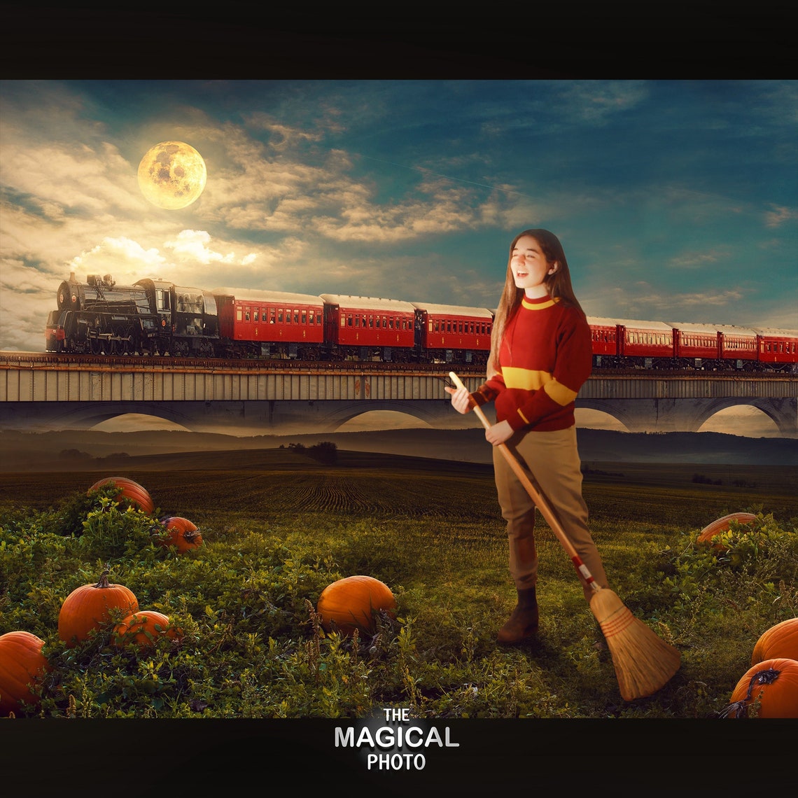 Wizard Digital Background Digital Backdrop for Composite | Etsy