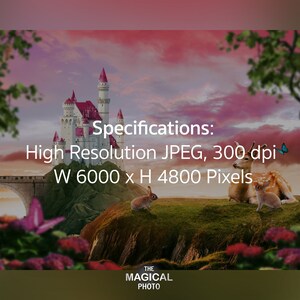 Princess Castle, Digital Background, Digital Backdrop, for Composite ...