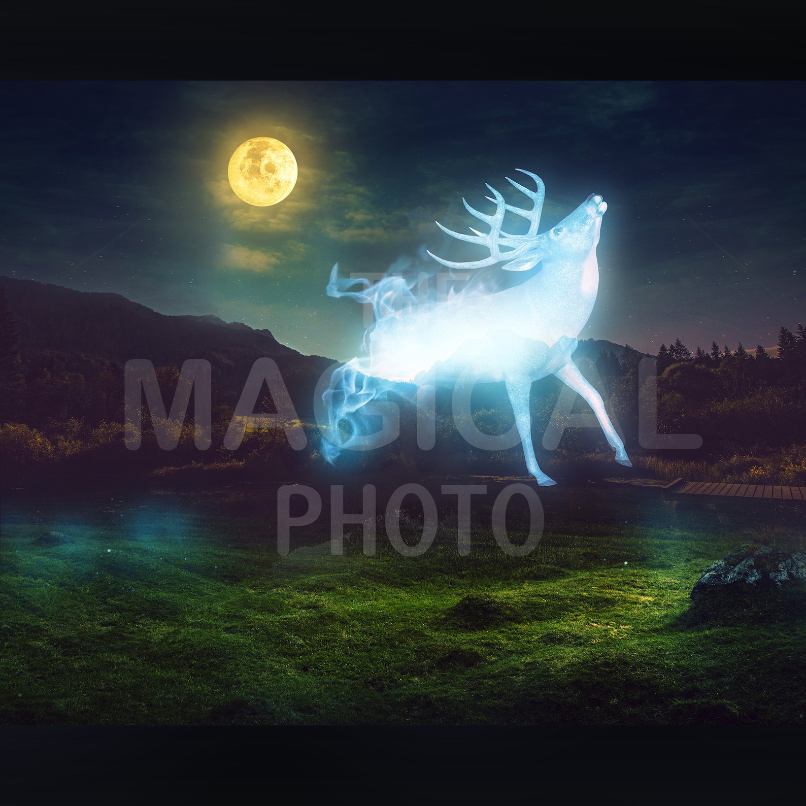 Wizard Digital Background Digital Backdrop for Composite | Etsy