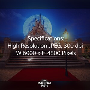 Princess Digital Background, Digital Backdrop, for Composite Photoshop ...